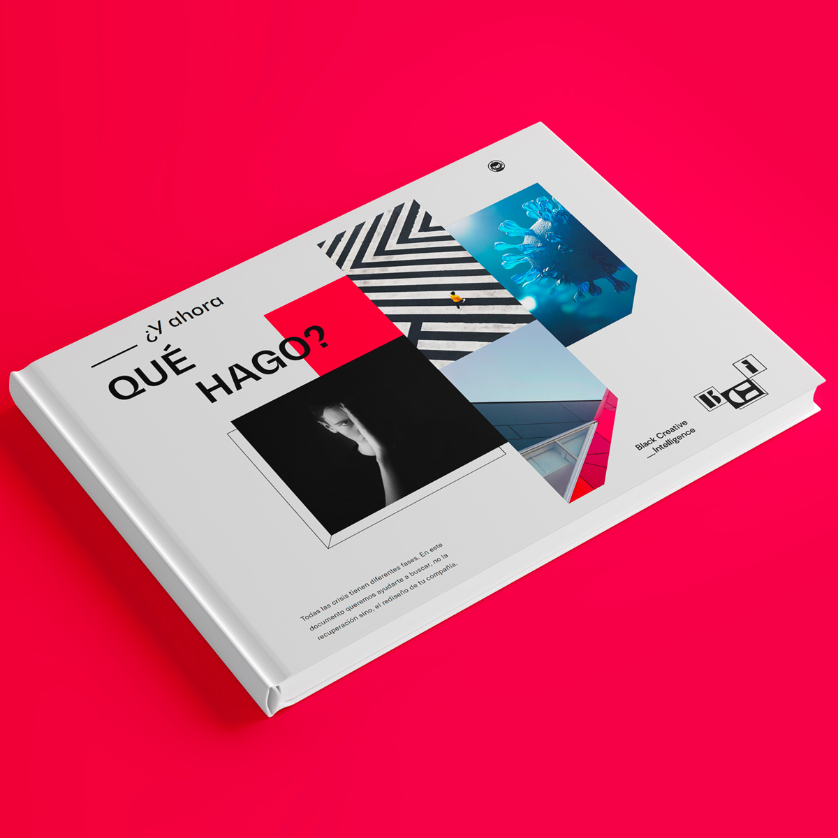 ¿Y ahora qué hago? - Blackbot